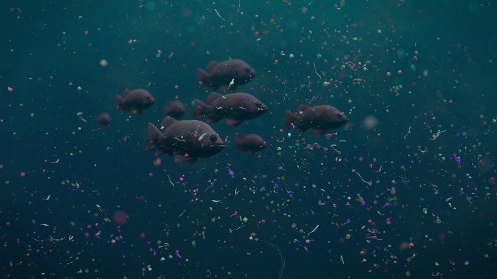 Microplástico e seus danos potenciais à saúde – Voz dos Oceanos